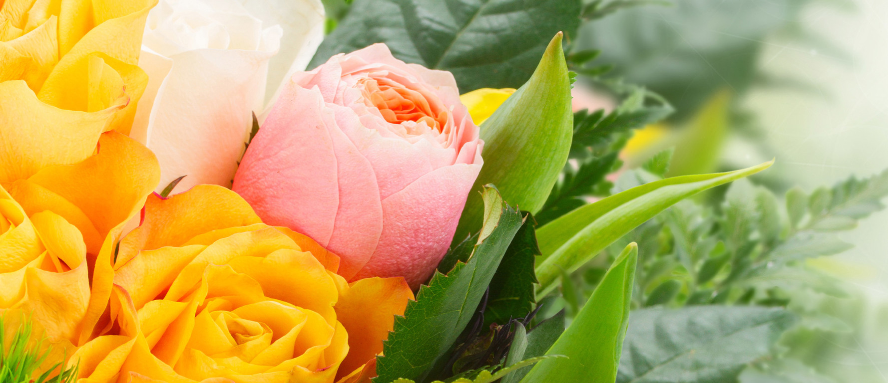 Zeidler's Flowers | Same-Day Flower Delivery Evansville, IN